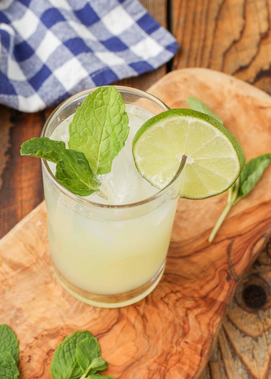 The Perfect Mojito